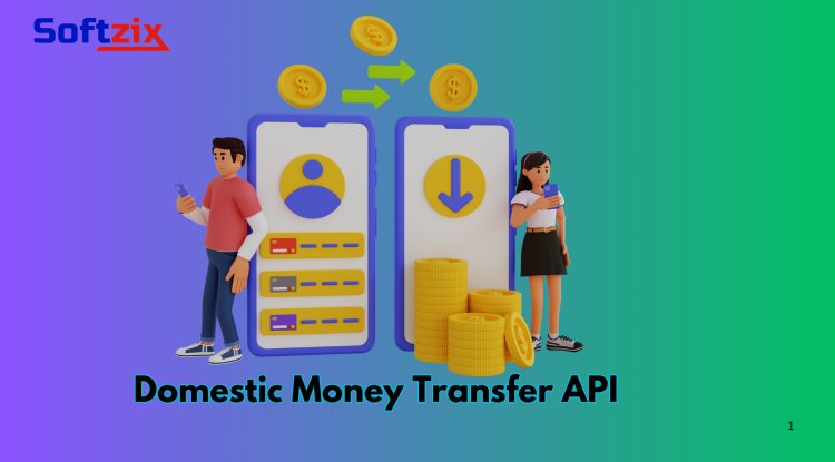 Simplify Transactions with Softzix Domestic Money Transfer API ...